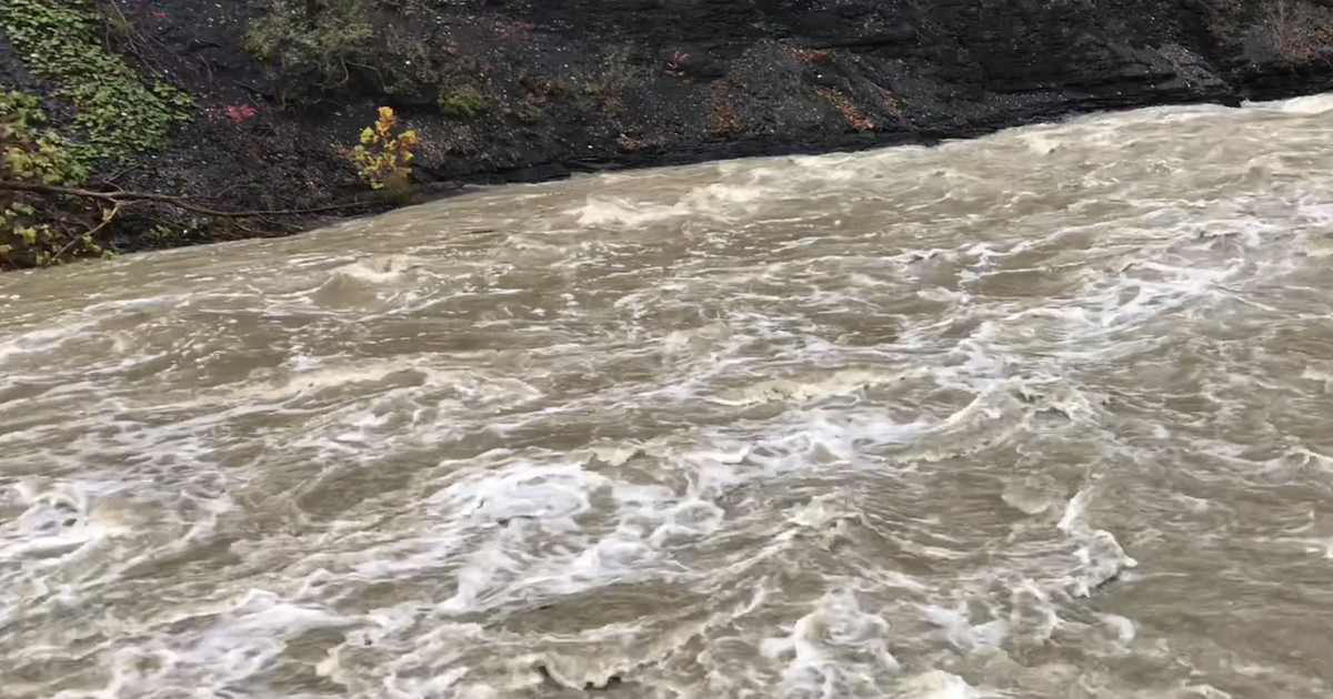 Raging Waterfall | Taughannock Falls State Park